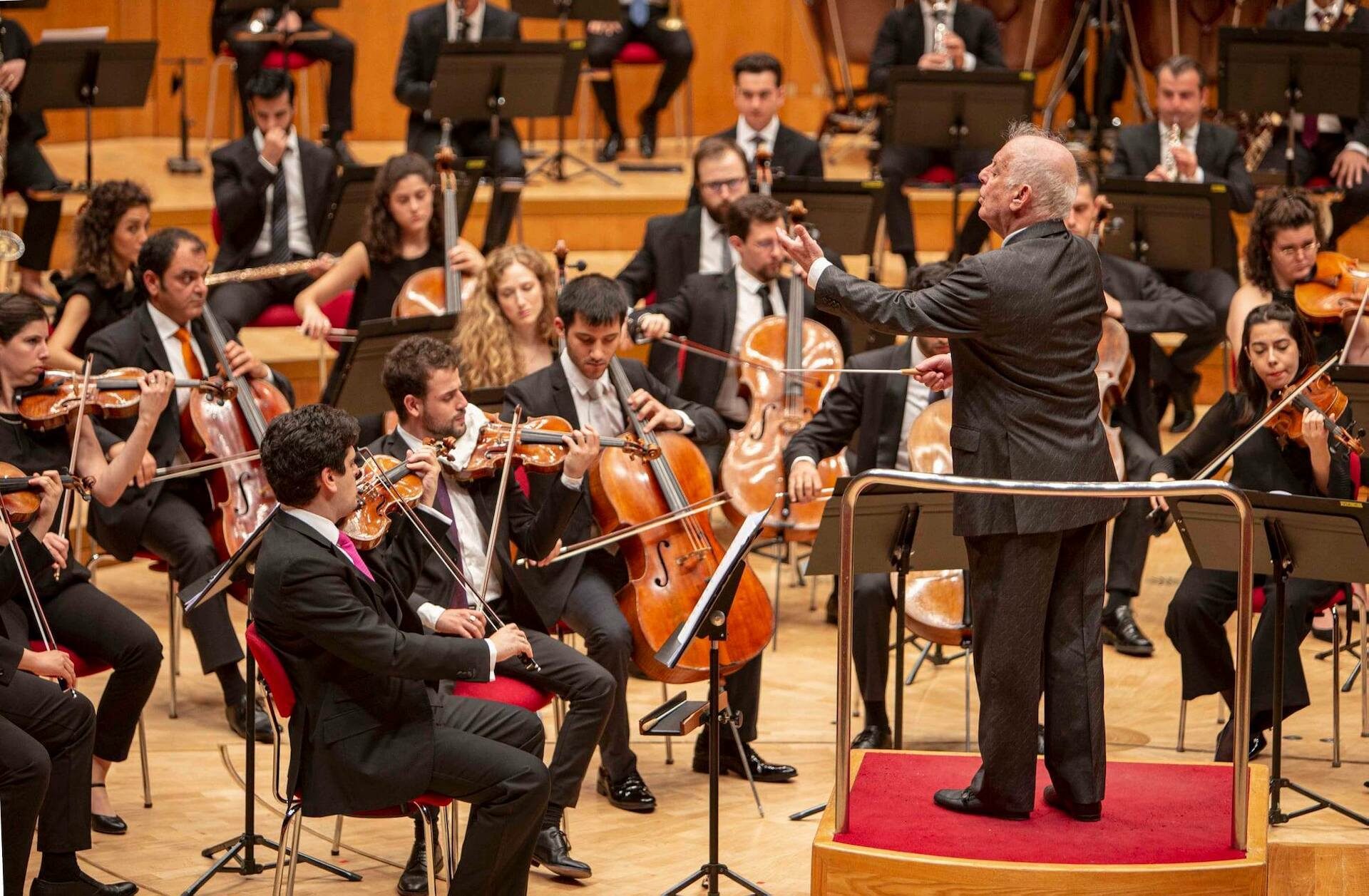 YAMEN SAADI & JULIEN QUENTIN